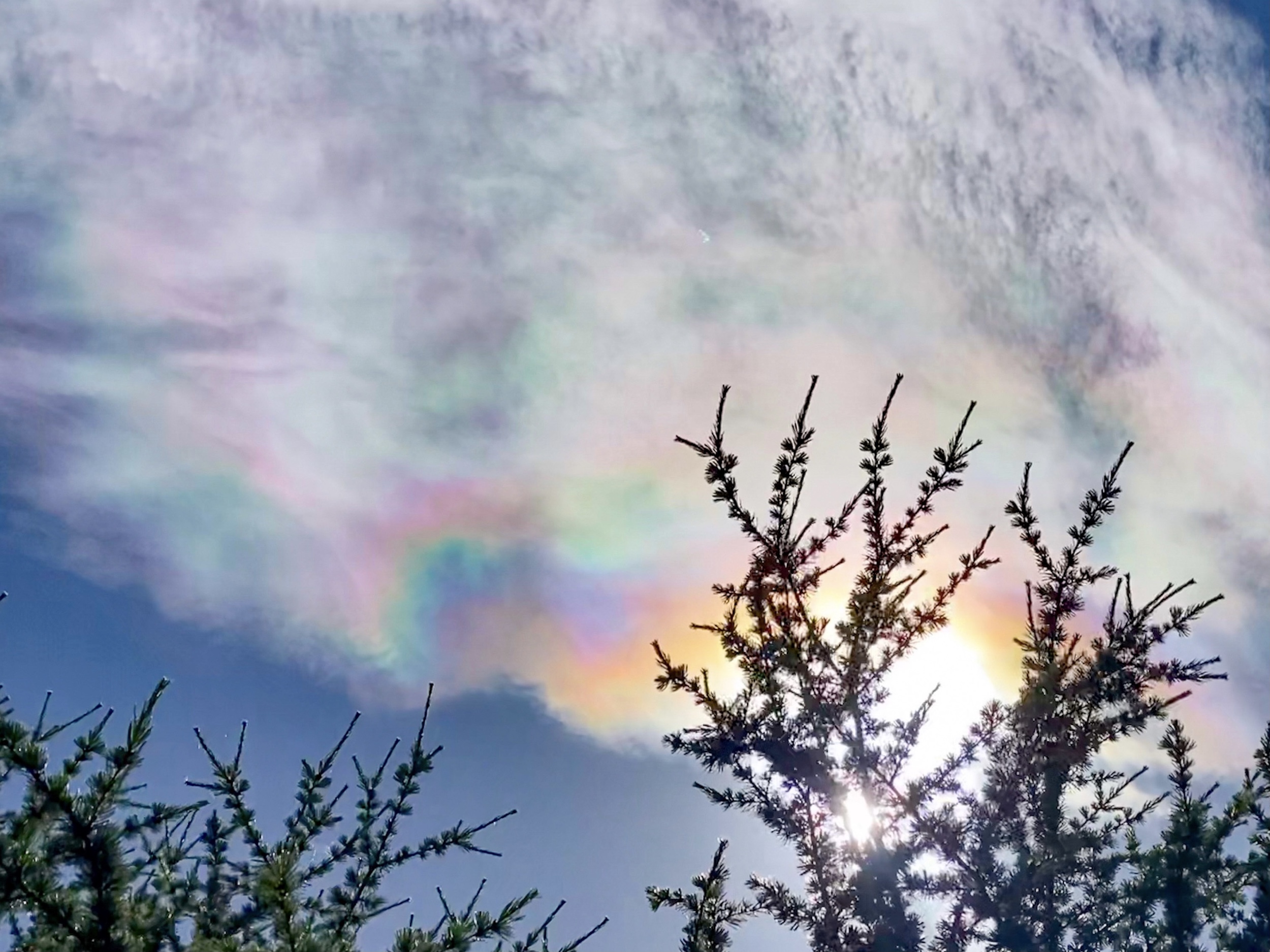 Iridescence In Spring – Eight Skies
