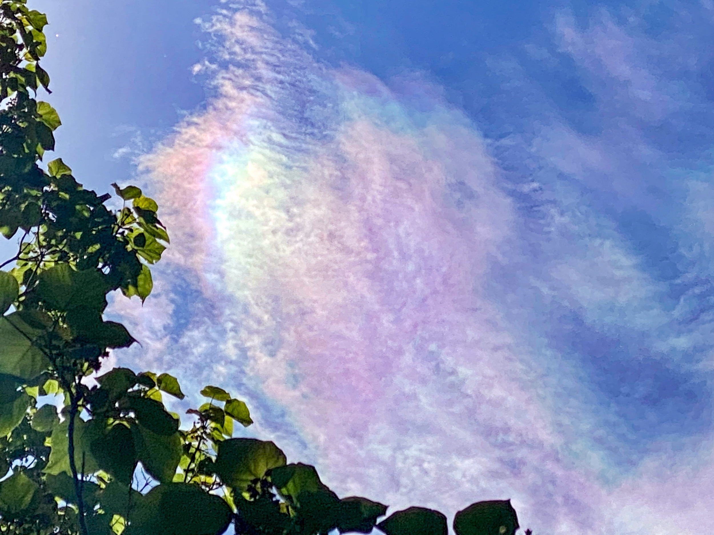 Iridescence in Spring – Part 3 – Eight Skies